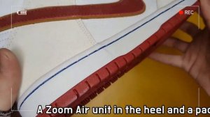 Nike SB Dunk High pro 'Team Crimson' unboxing/Nike SB Dunk High Sail on feet review