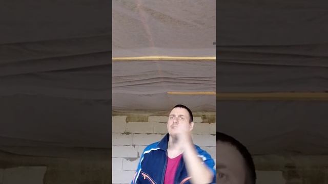 роза белая