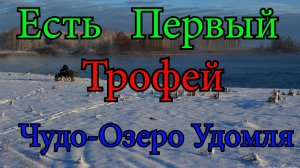 Есть долгожданный Трофей . Чудо-Озеро Удомля . Зимний фидер не даёт расслабиться. Фидер