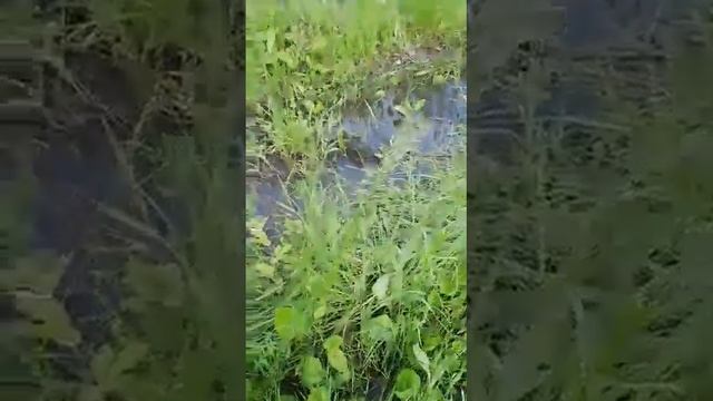 Мазда СХ7 в деле