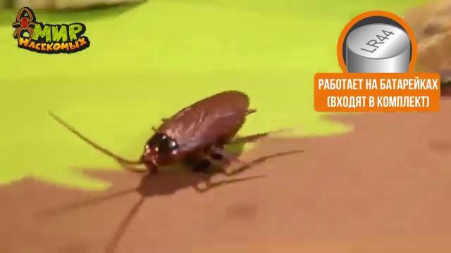 Новый набор насекомых