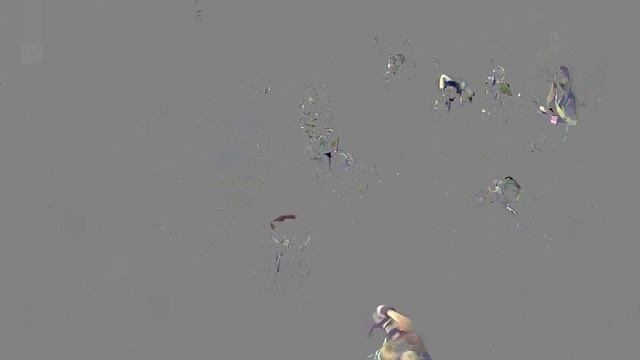 2. Балахнина 17.12.2024 15:00 Разработка игр на Kodu