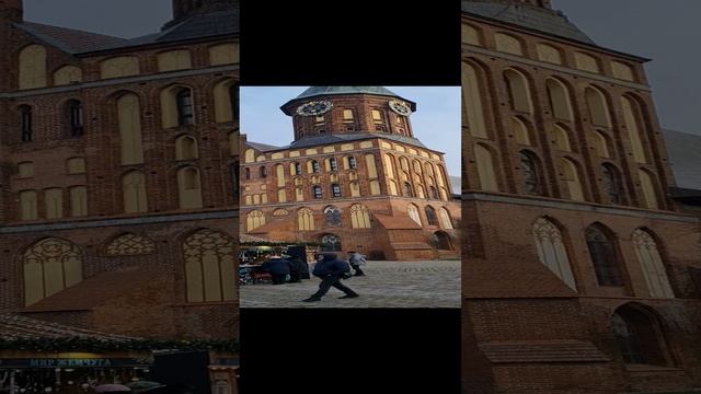 Рождественские путешествия