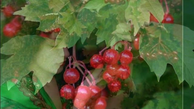 Зухра Сахабиева "Балан"