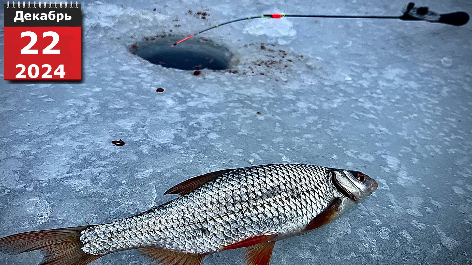Деревенский пруд , мормышка и рыбалочка