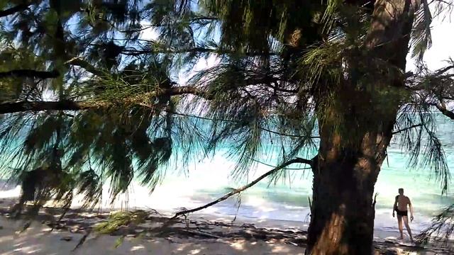 Dominicana 2016