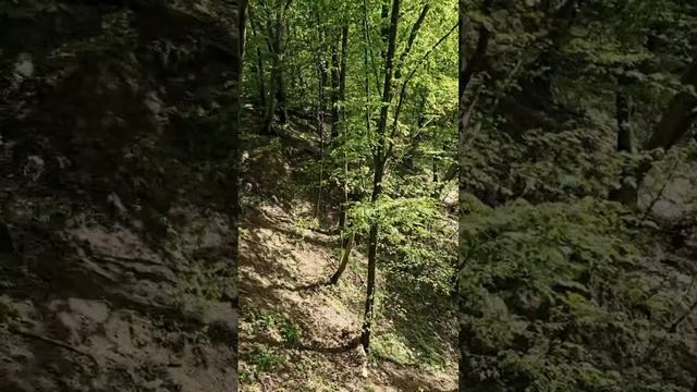 Вот для чего нужна защита рук!!! #эндуро #enduro #motocross #питбайк