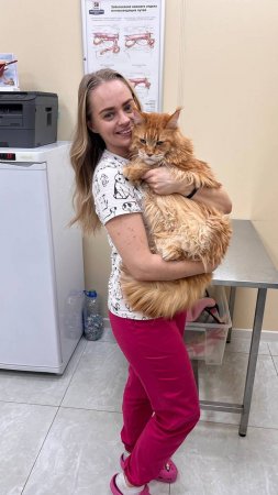 Стационар в ветеринарной клинике
