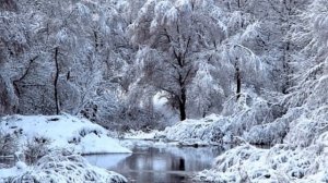 Зима. Лесная речка. Новогодний футаж. Зимний футаж. Красивый футаж для видео.
