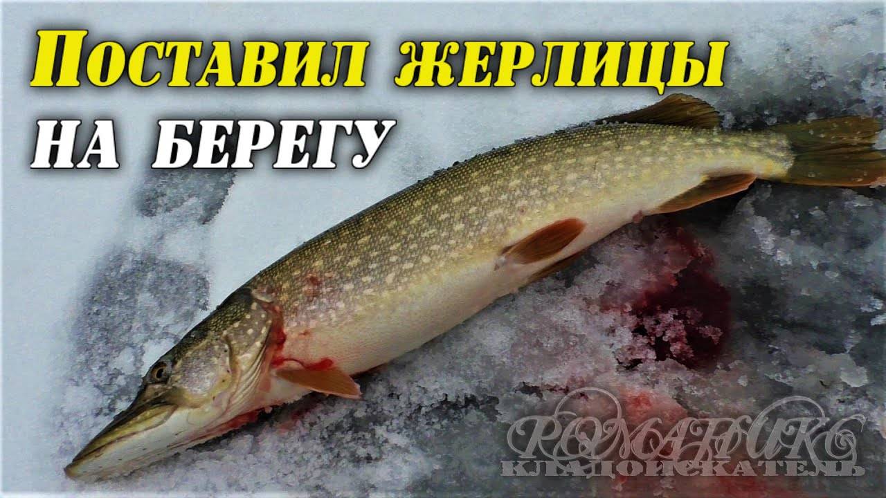 Ловил налима и щуку в зимнюю оттепель.  Эксперимент на рыбалке.