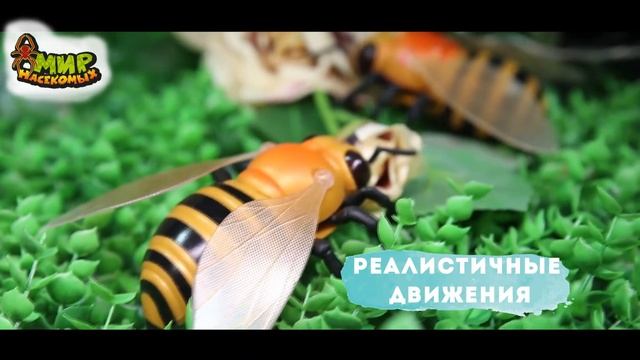 Муха и пчела, игрушки TM Levatoys 426-731 (732)