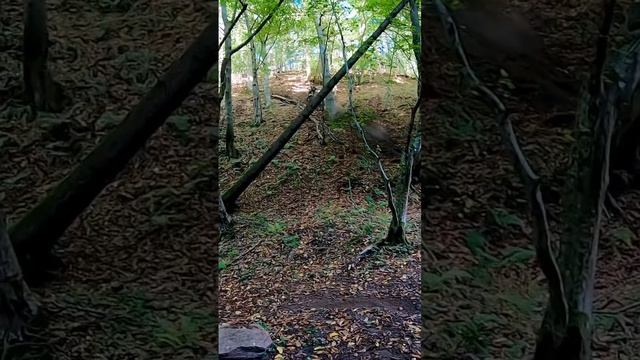Смачная kurva