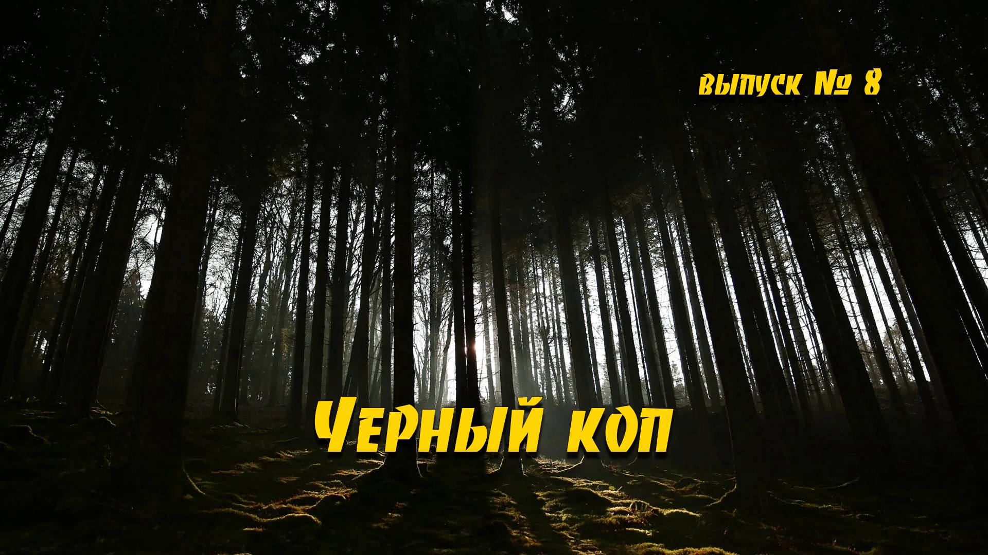 Выпуск № 8. Копаем черный метал в полях и темной посадке