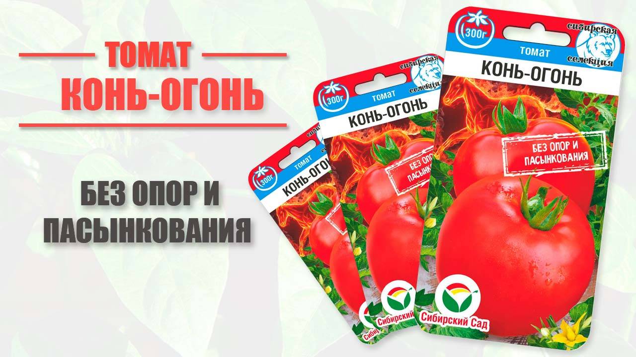 Конь-Огонь