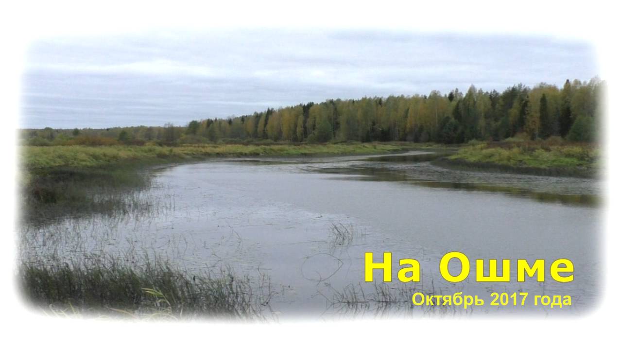 Встреча с Ошмой - 2017