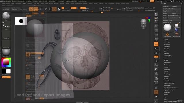11. Load Reference and Export Images