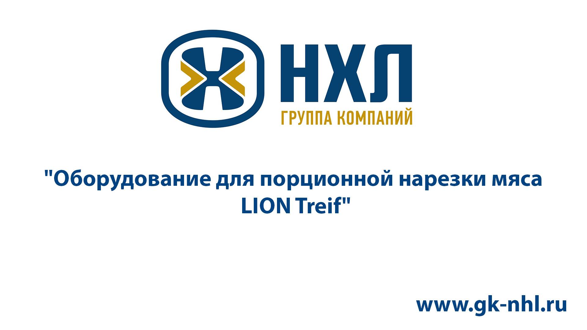 Оборудование для порционной нарезки мяса LION Treif
