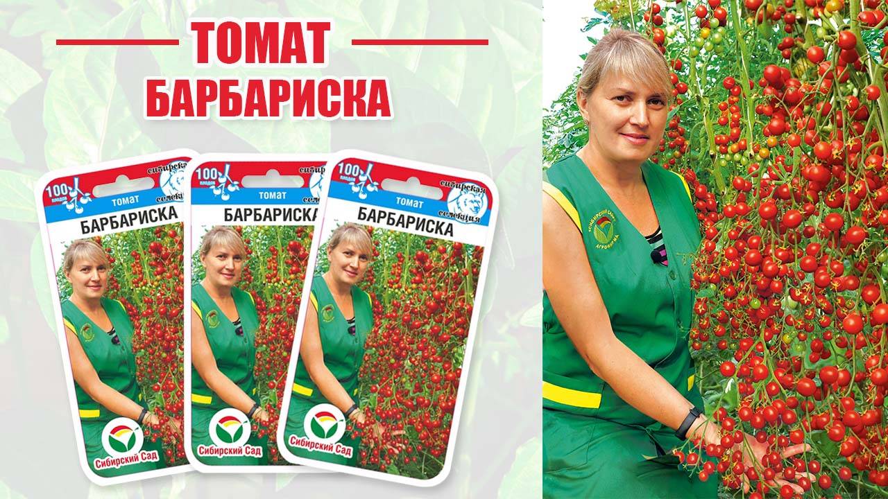 Томат "Черри Барбариска"