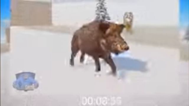 Как бегает дикий кабан в planet zoo