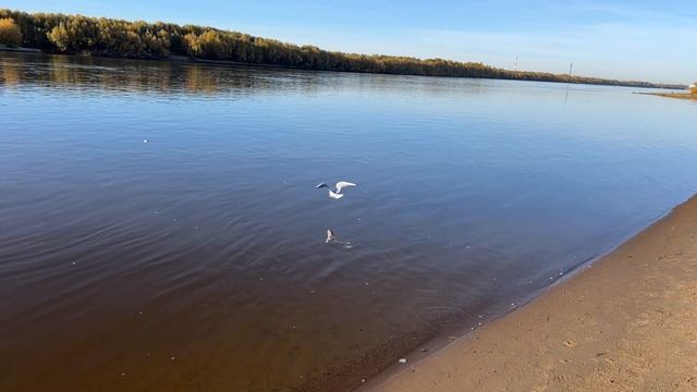 Волна