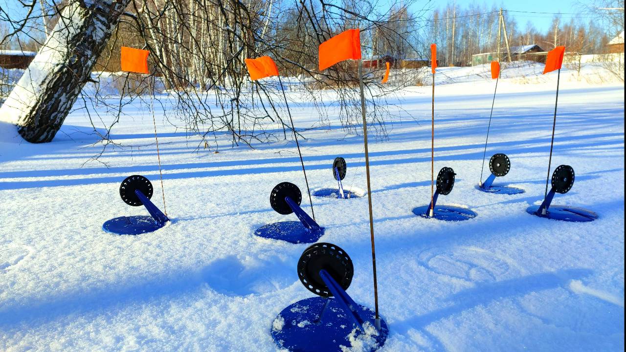 Активный жор щуки продолжается! Рыбалка на жерлицы