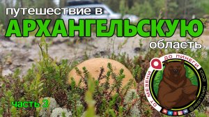 От Мезени до Пинеги. Собираем грибы. Часть 3