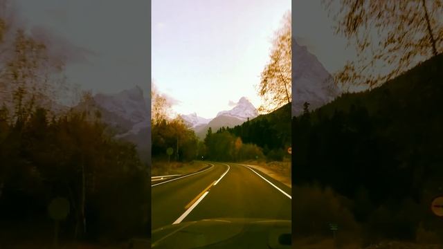 relax cars