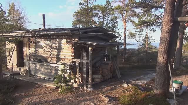 Самое начало лета. 2019г.