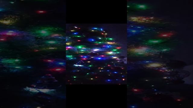 Наша ёлочка 🎄