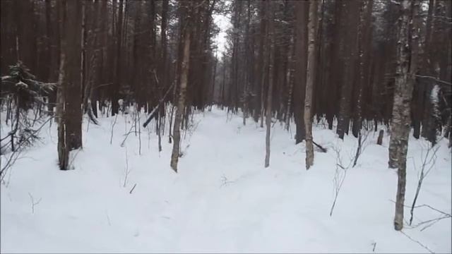 К "Лыжне здоровья" под Архангельском 28.01.21