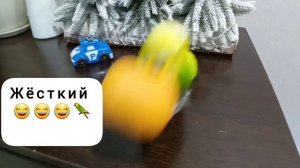 Волнистый попугай  #беспредел #а4 #юмор