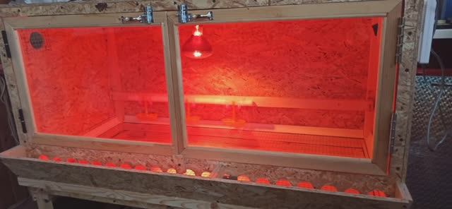 Брудер для птицы своими руками. Под заказ, любые размера