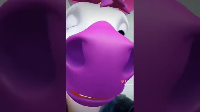 взял и за шоу