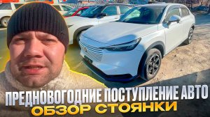 Обзор стоянки Актуальные цены❗️ Предновогодний завоз Civic, Vezel, Fit, N-WGN, Trailblazer, Fielder