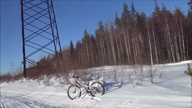 Прогулка на велосипеде по зимним лесам 02.03.2022