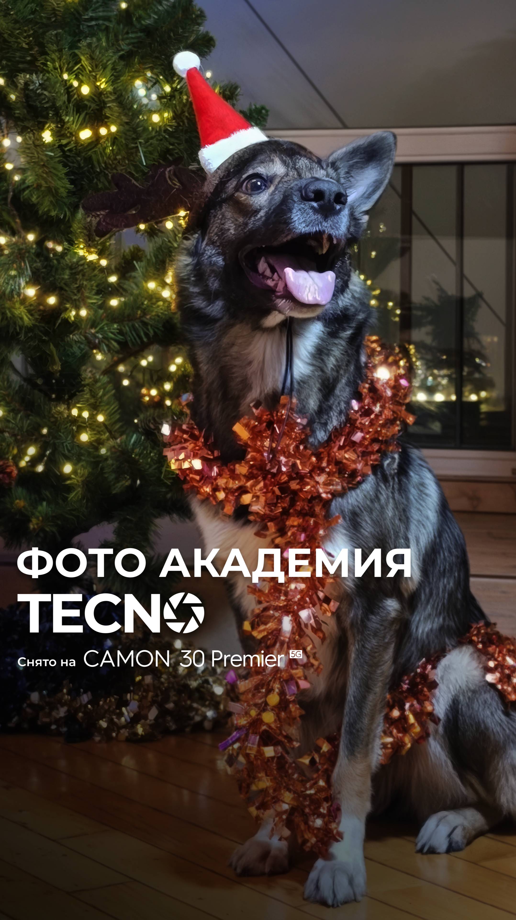 Как сделать новогоднее фото питомца? #TECNO #ФотоАкадемияTECNO