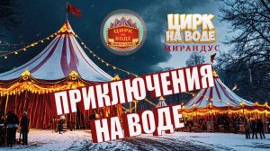 Зимние будни в цирке на воде "Мирандус"