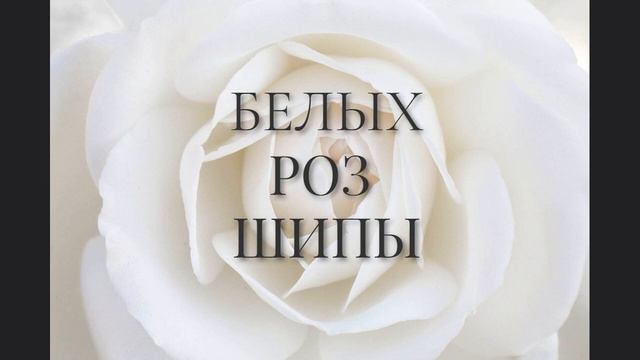 Юлия Романовская/Julia Romanovskaya - Белых роз шипы