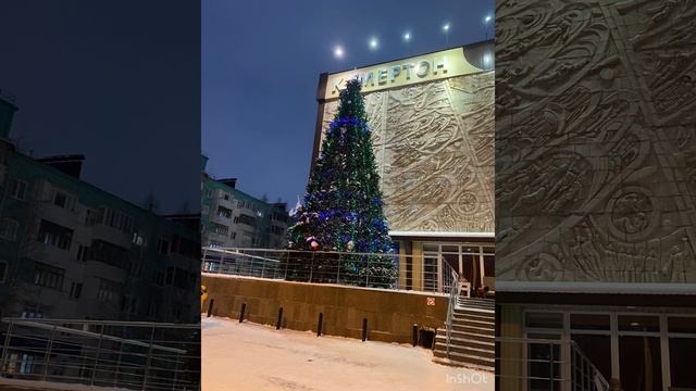 Красивые Ёлки в городе Сургут