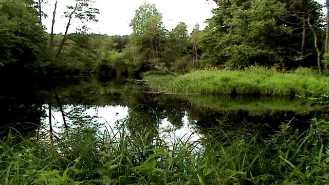 Река Можа