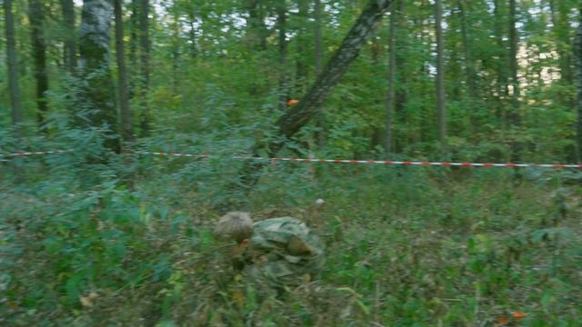 Школьная зарница