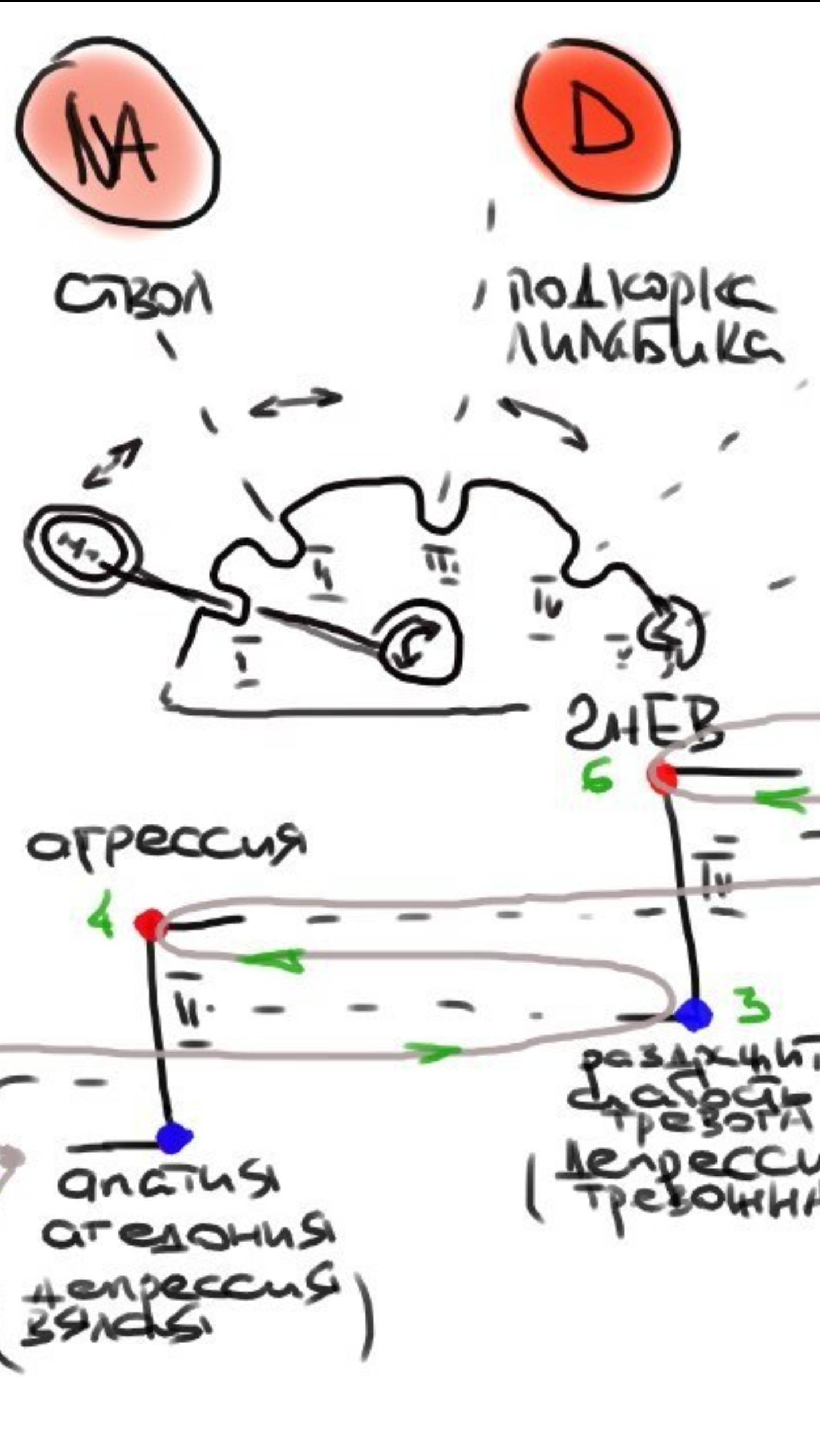 ОСБ / Стресс. Тирозиновая коробка передач.