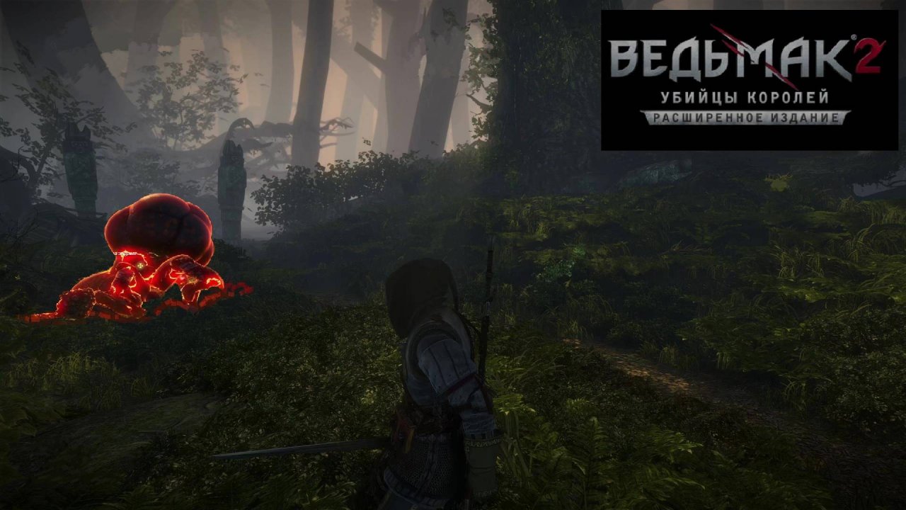 The Witcher 2. Убийцы королей. # 7. Королева Эндриаг 2.Лоредо.(Темный)#thewitcher2#ведьмак2