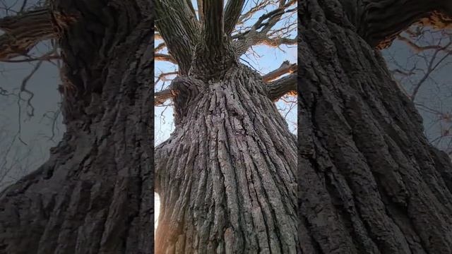 Весна 2024 (Spring 24).