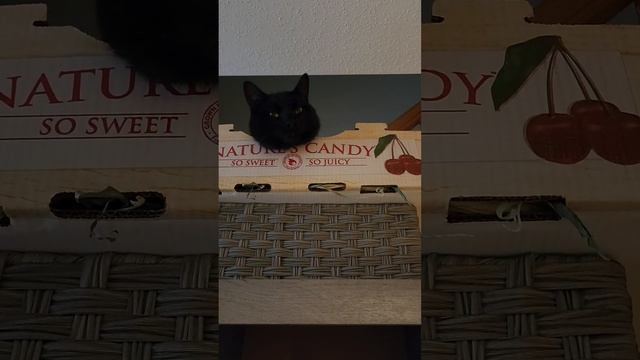 Такой сладкий))))))).