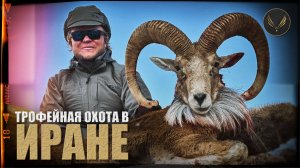 ИРАН | ТРОФЕЙНАЯ ОХОТА НА КРАСНОГО БАРАНА | ОХОТА С ДЕНИСОМ МОРОЗОВЫМ