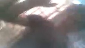 Видео000