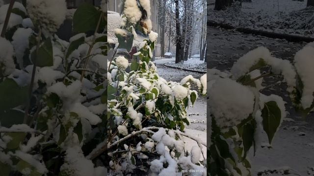 Белая зима пришла!