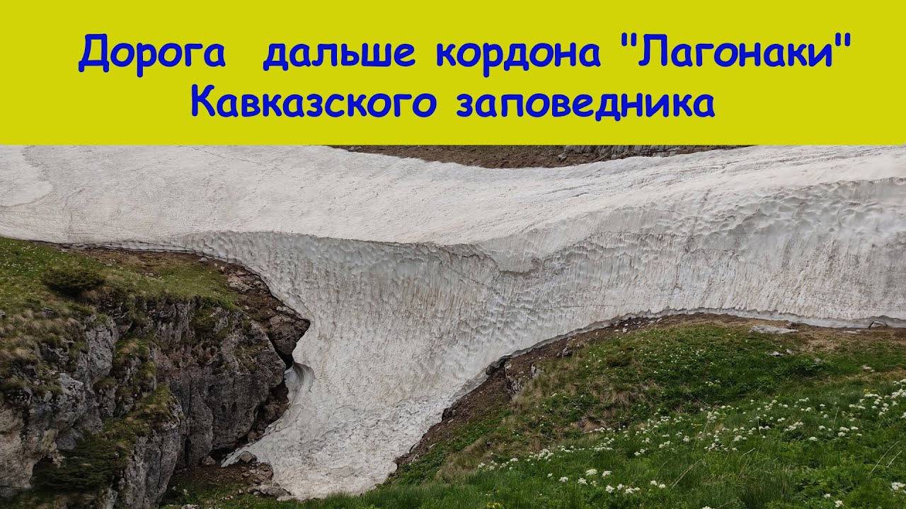 Дорога дальше кордона "Лагонаки" Кавказского заповедника. Проехать дальше КПП "Лагонаки".