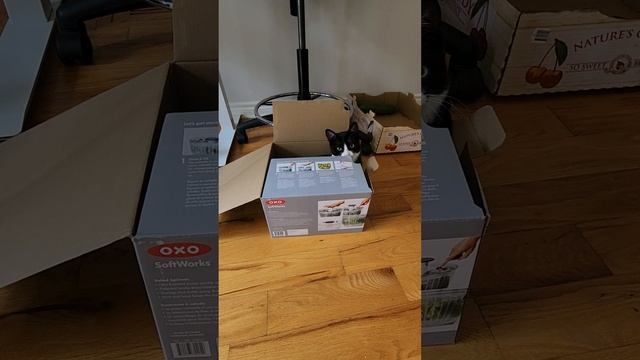 And why do cats love boxes so much?))) Today our cat spent half a day fiddling with this box))).